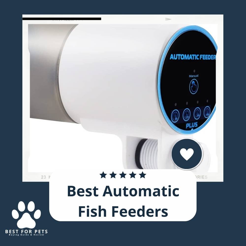 10 Best Automatic Fish Feeders 2022 Reviews Top Picks 10-best-automatic-fish-feeders-2022-reviews-top-picks