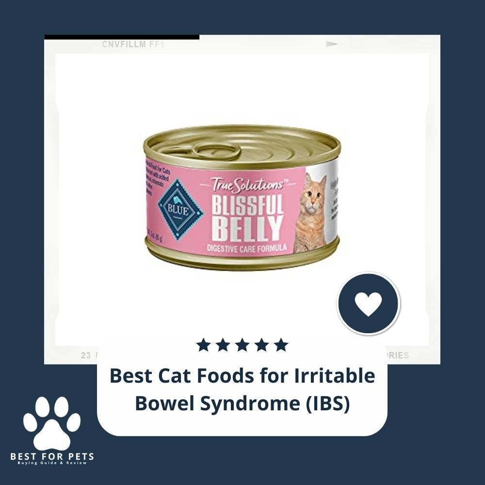 11 Best Cat Foods For Irritable Bowel Syndrome IBS In 2022