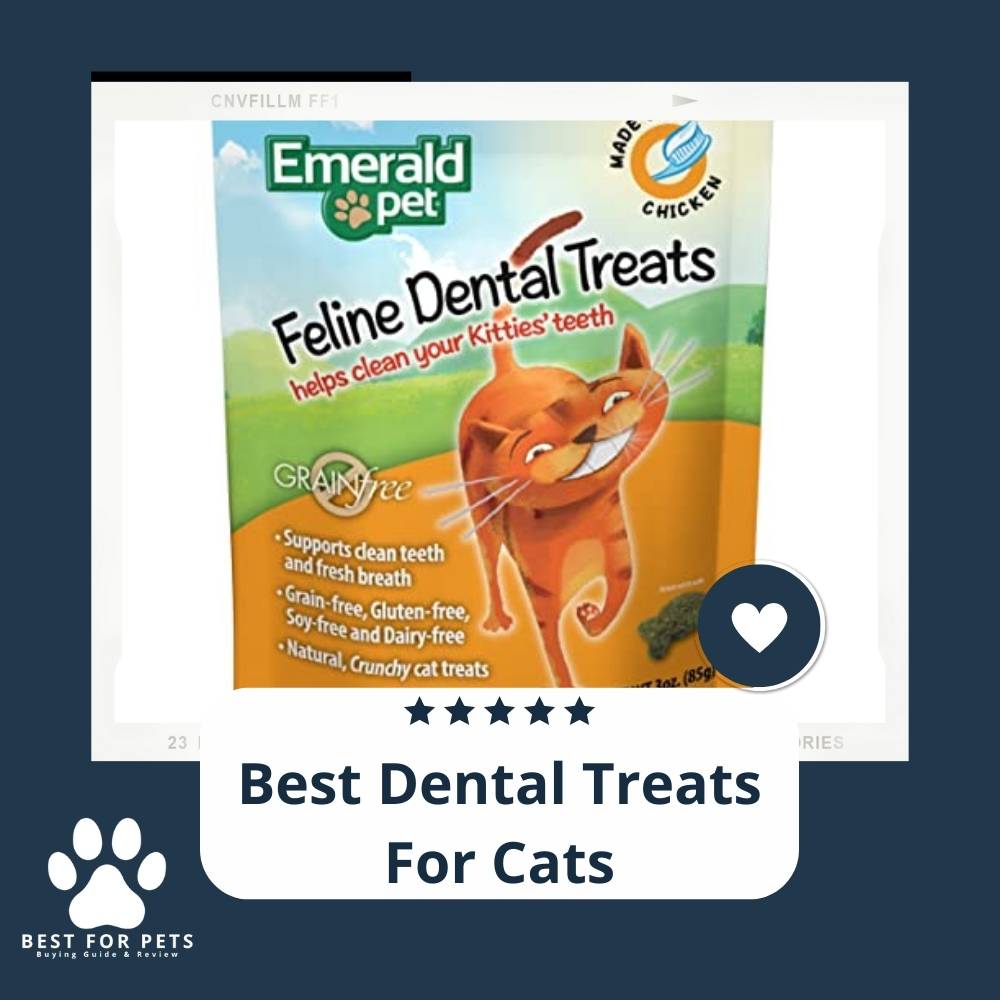 11 Best Dental Treats For Cats In 2022 11-best-dental-treats-for-cats-in-2022